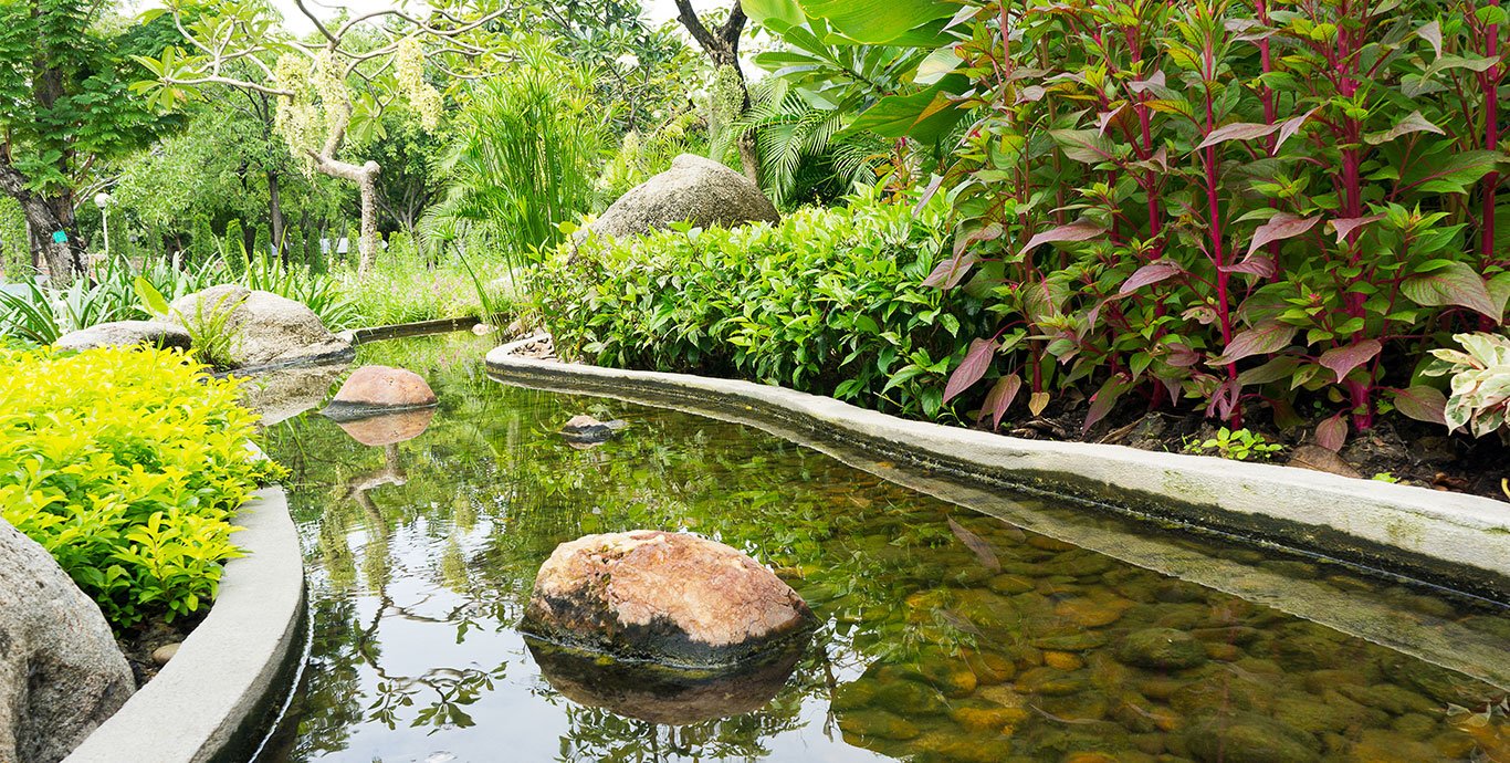 5-Step Process for a Perfect Pond | Midsouth Ponds