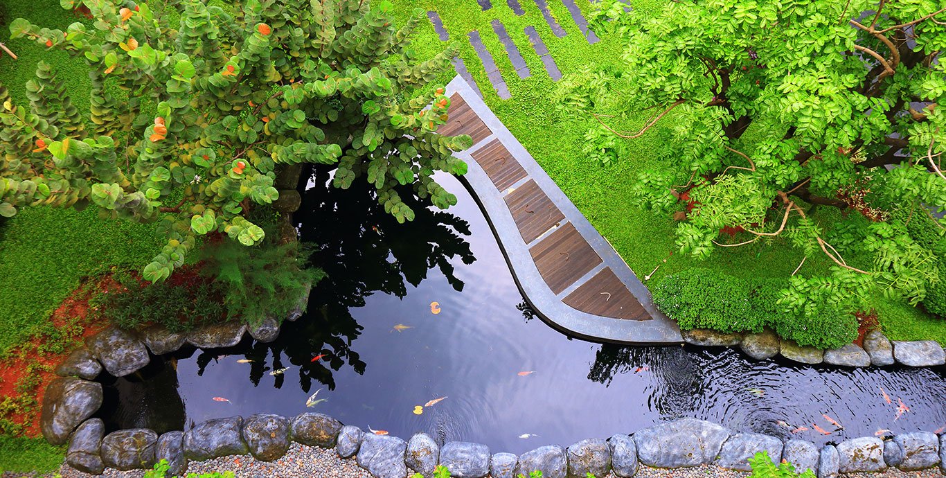 Explore Water Feature Tips, Pond Ideas & Outdoor Inspiration