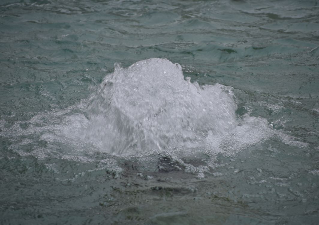 Guide to Buying the Best Pond Aerator - Midsouth Ponds